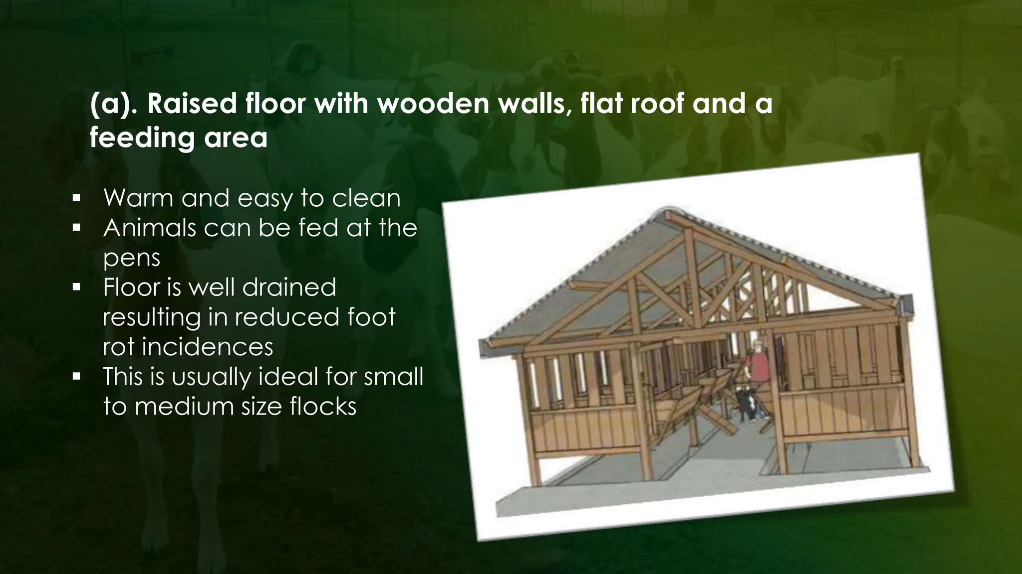 Goat Farming - Kenya.pptx