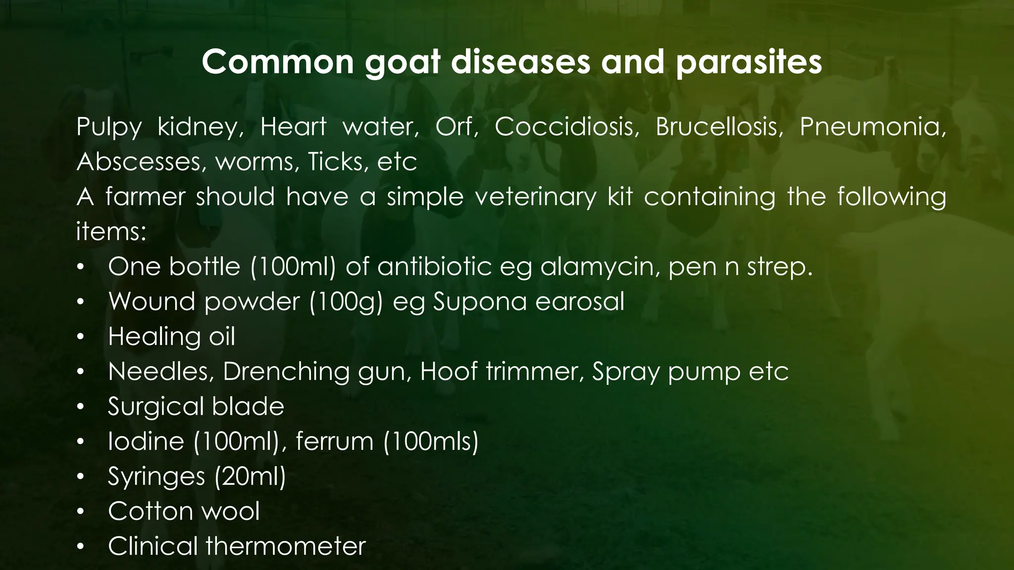 Goat Farming - Kenya.pptx