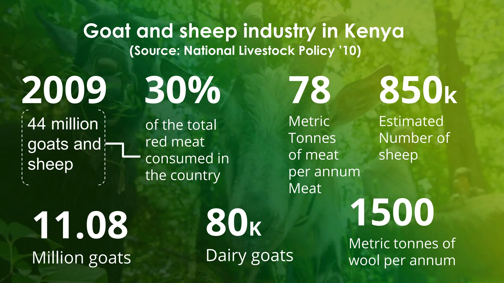 Goat Farming - Kenya.pptx