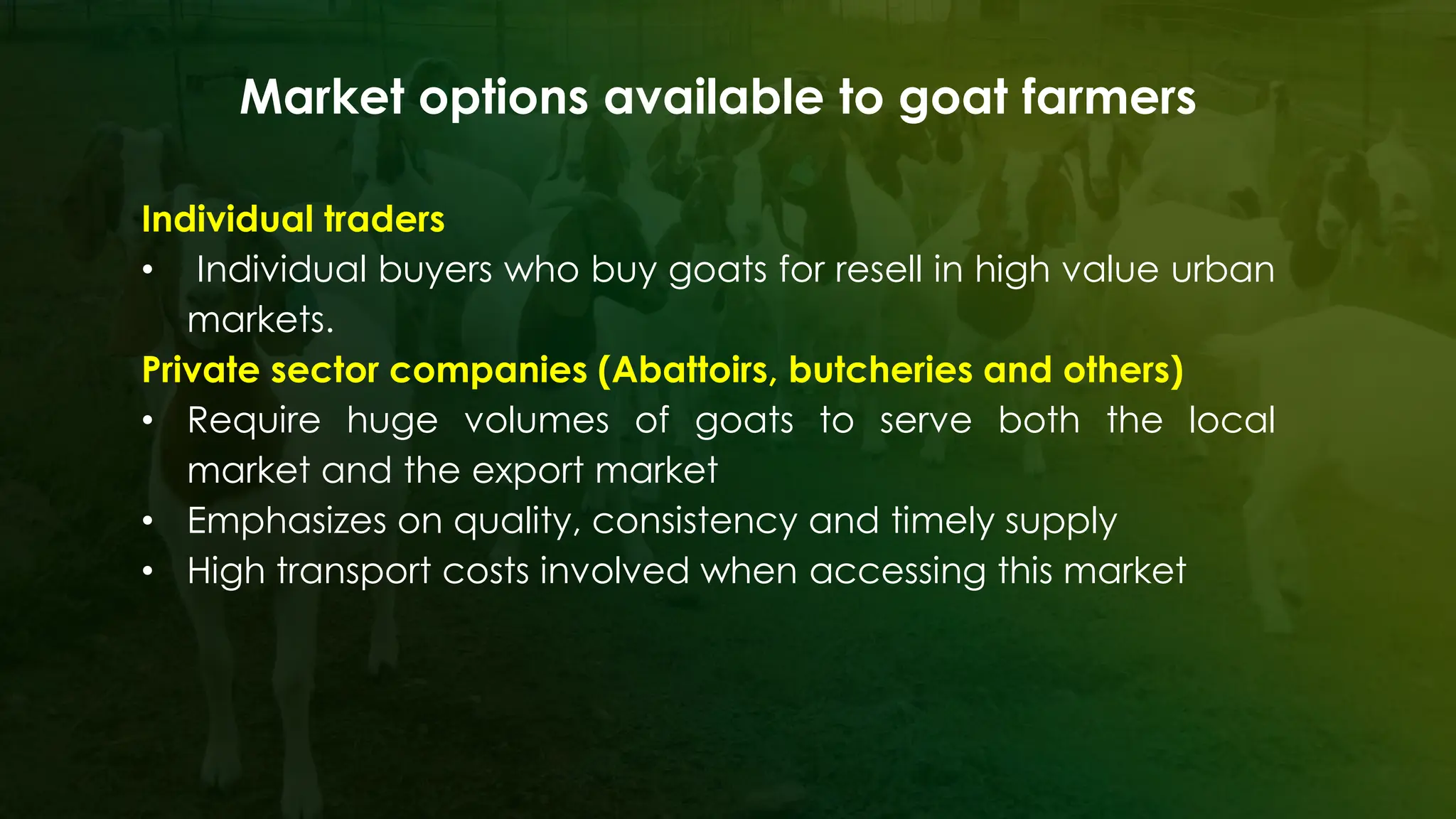 Goat Farming - Kenya.pptx