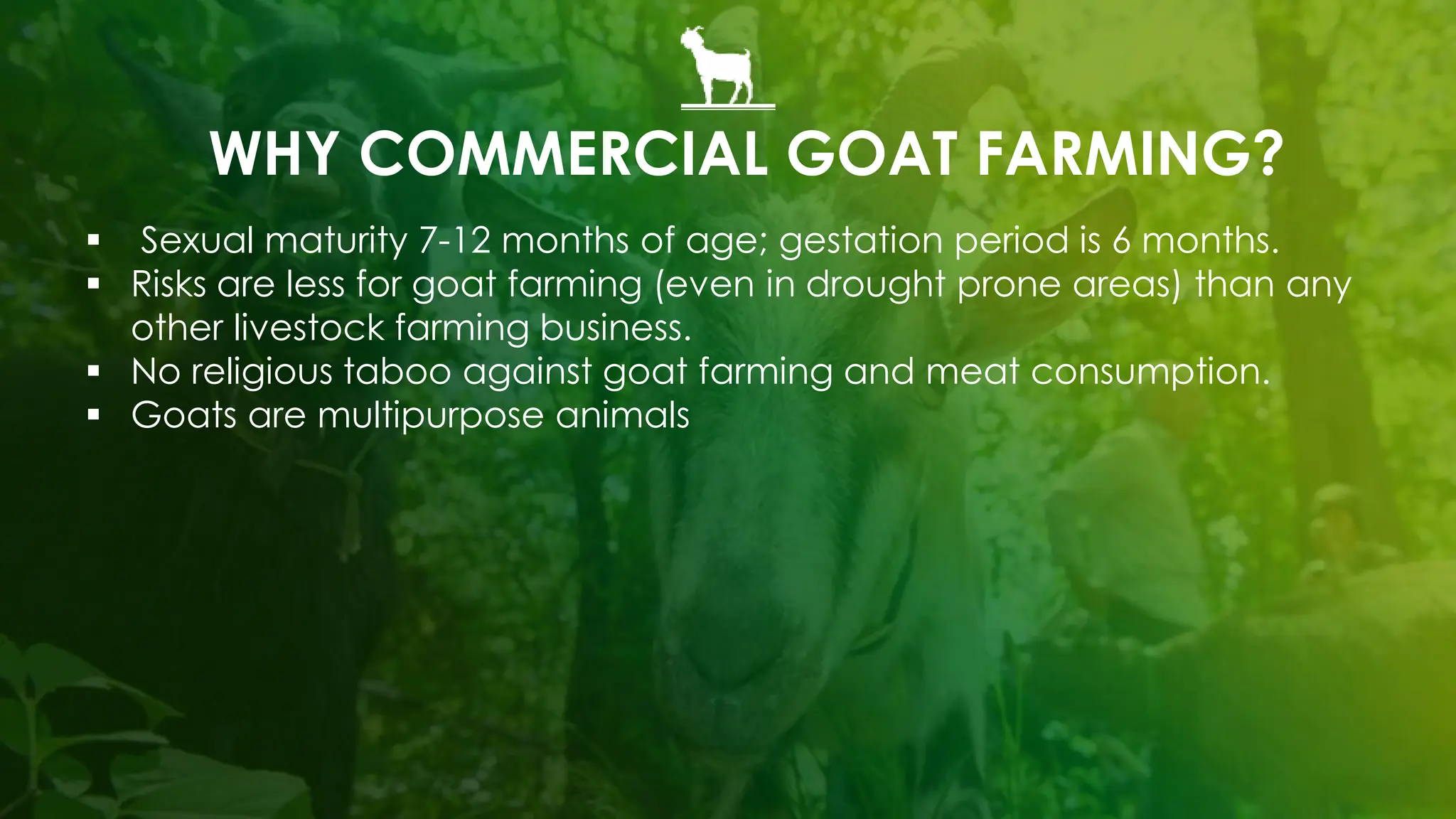 Goat Farming - Kenya.pptx