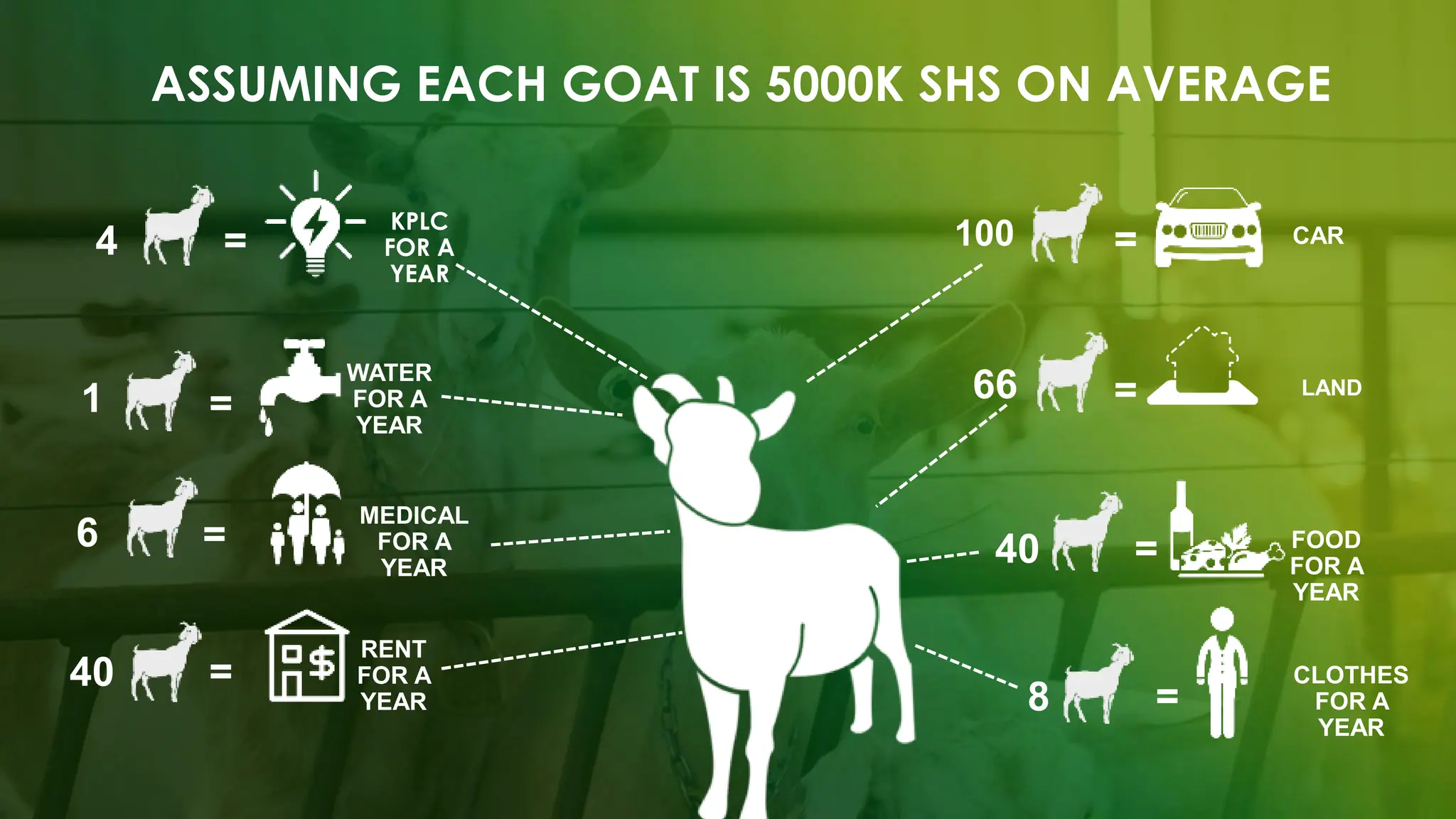 Goat Farming - Kenya.pptx