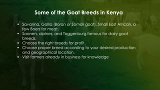 Goat Farming - Kenya.pptx