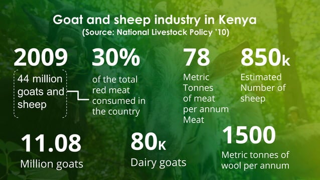 Goat Farming - Kenya.pptx | Agriculture | Industries