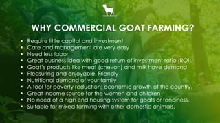 Goat Farming - Kenya.pptx