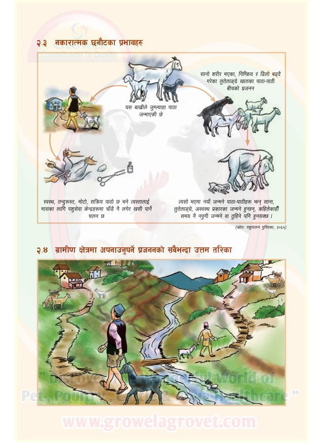 नेपाली भाषामा बाख्रापालन पुस्तिका | PDF | Programming Languages | Computing