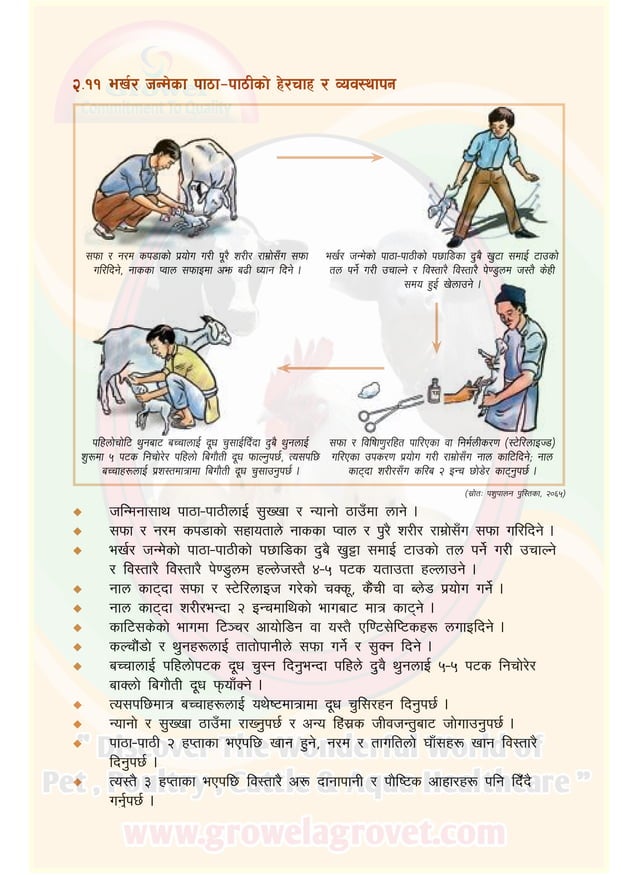 नेपाली भाषामा बाख्रापालन पुस्तिका | PDF | Programming Languages | Computing