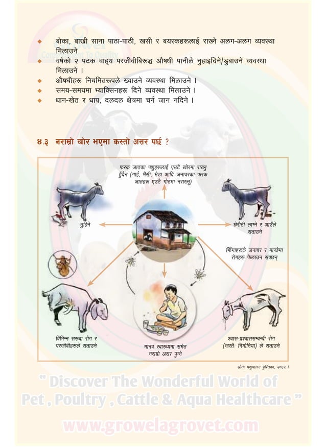नेपाली भाषामा बाख्रापालन पुस्तिका | PDF | Programming Languages | Computing