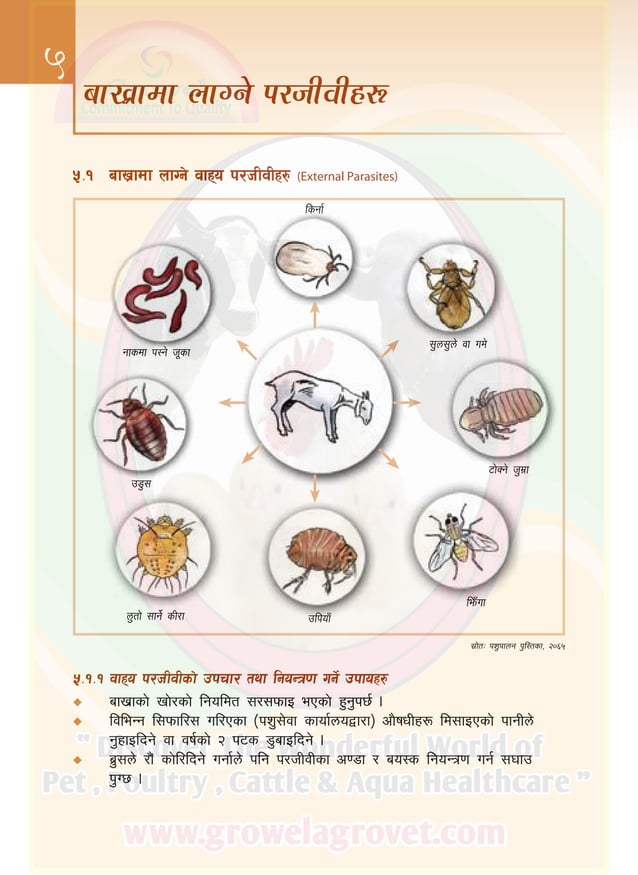 नेपाली भाषामा बाख्रापालन पुस्तिका | PDF | Programming Languages | Computing