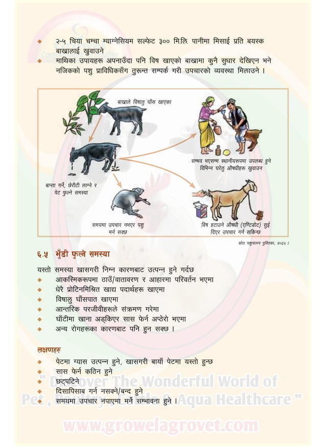 नेपाली भाषामा बाख्रापालन पुस्तिका | PDF | Programming Languages | Computing