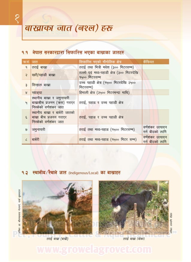 नेपाली भाषामा बाख्रापालन पुस्तिका | PDF | Programming Languages | Computing