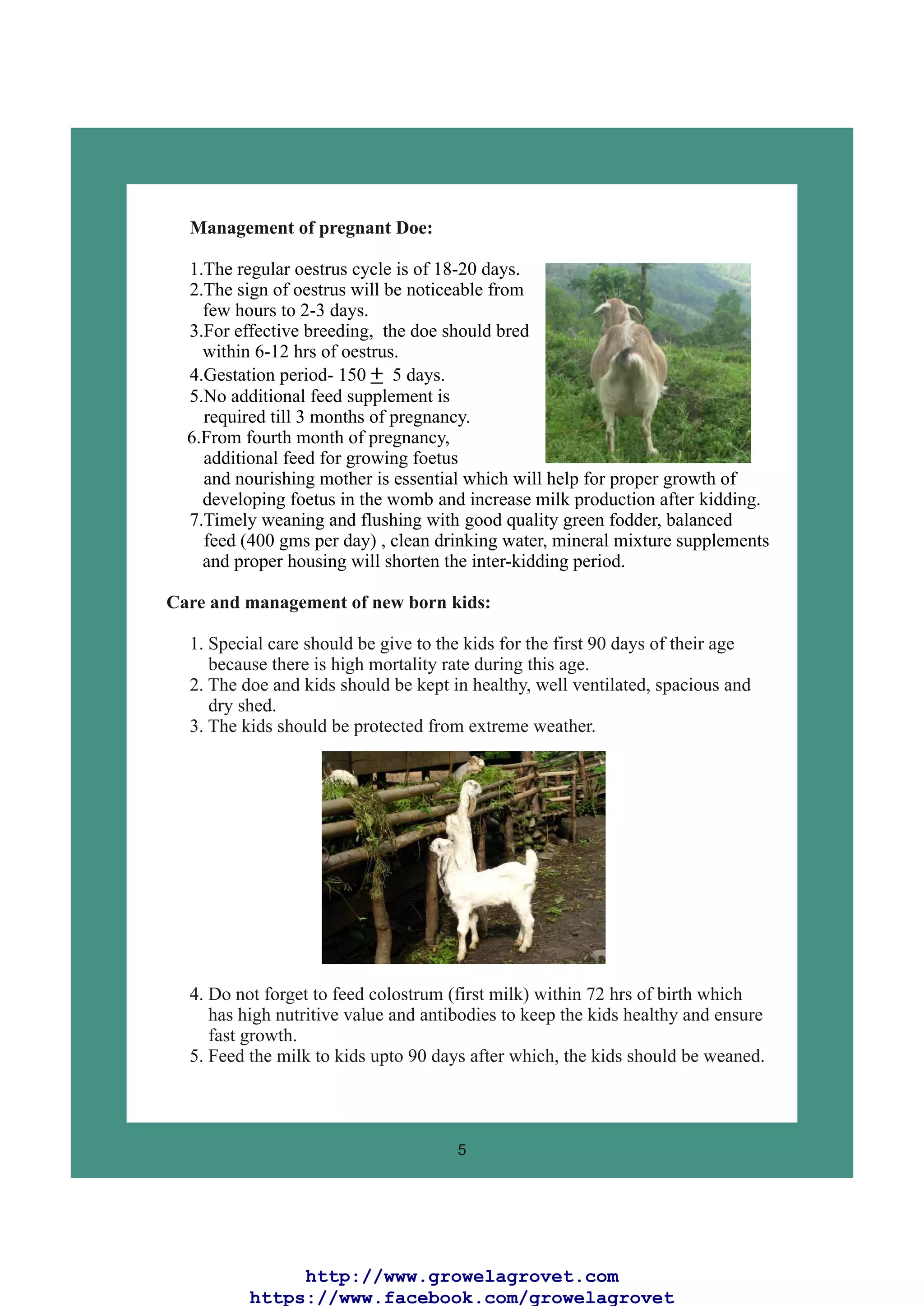 Goat Farming Guide | PDF