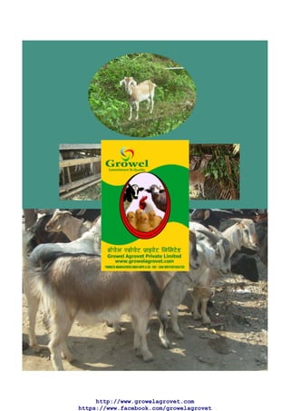 Goat Farming Guide | PDF