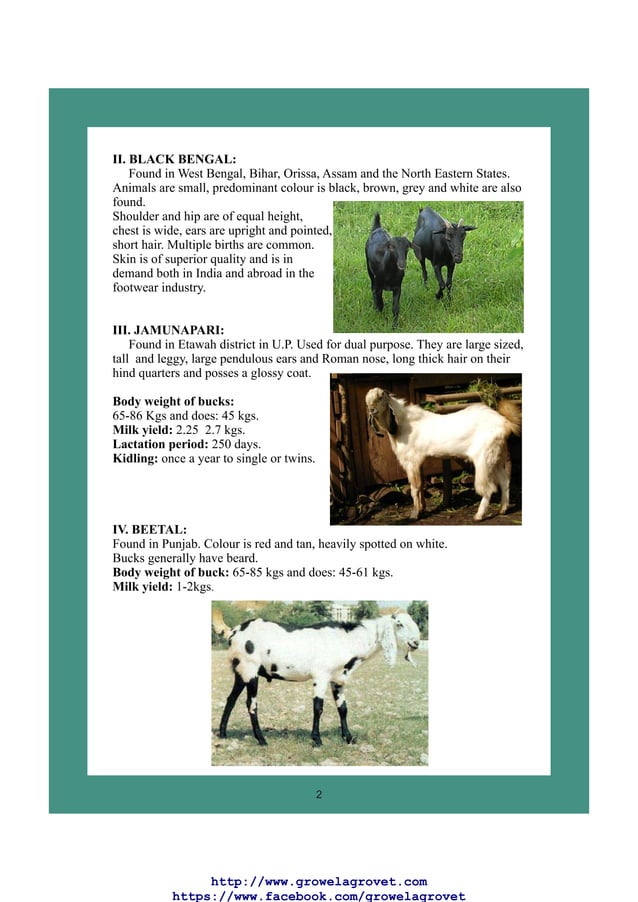 Goat Farming Guide | PDF