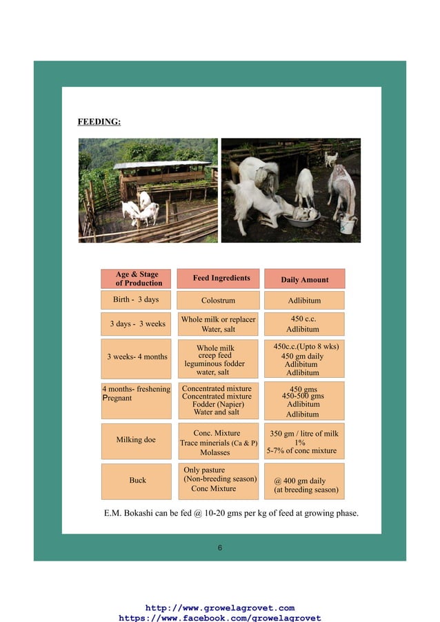 Goat Farming Guide | PDF
