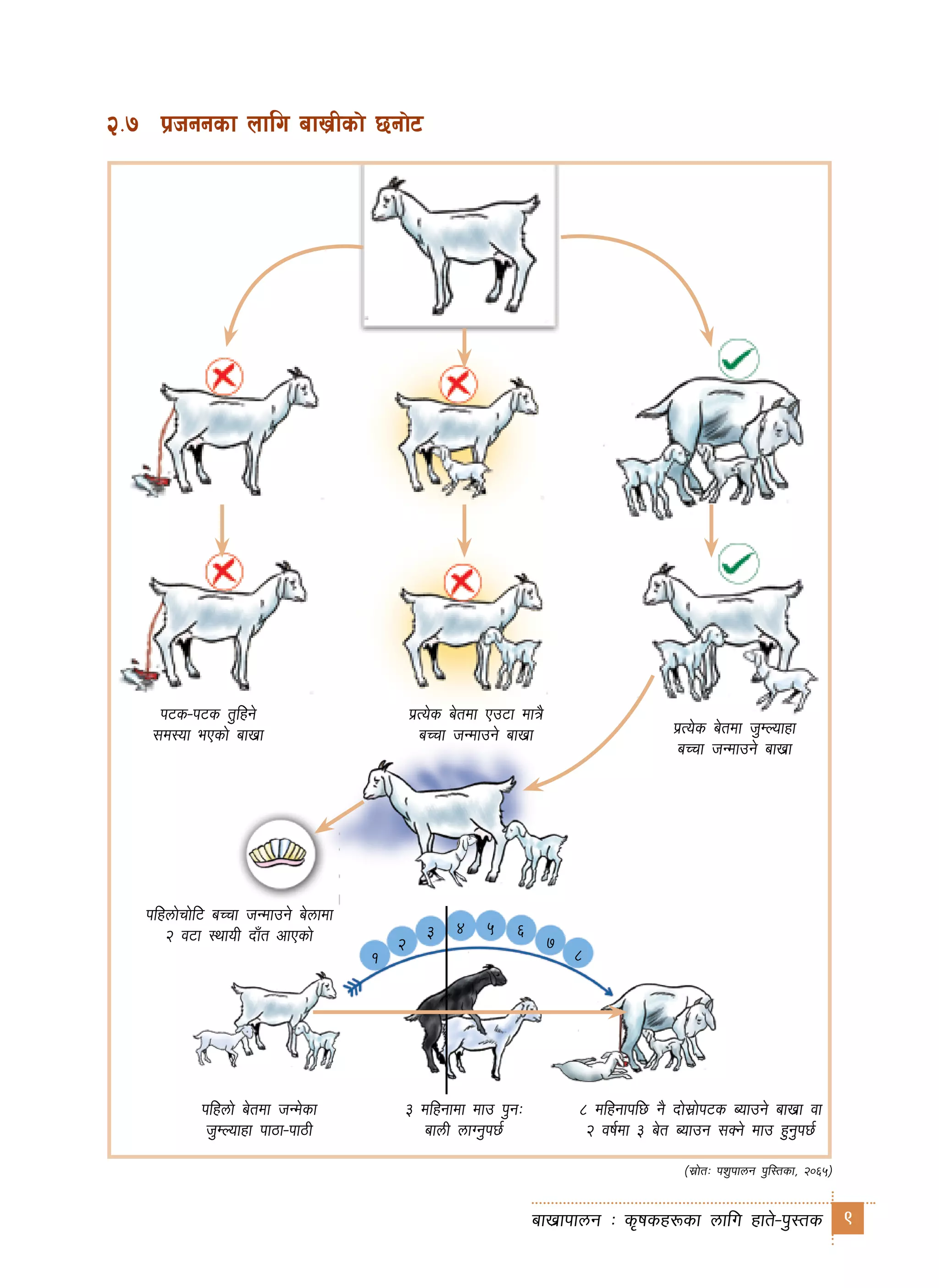 Goat Farming In Nepal | PDF