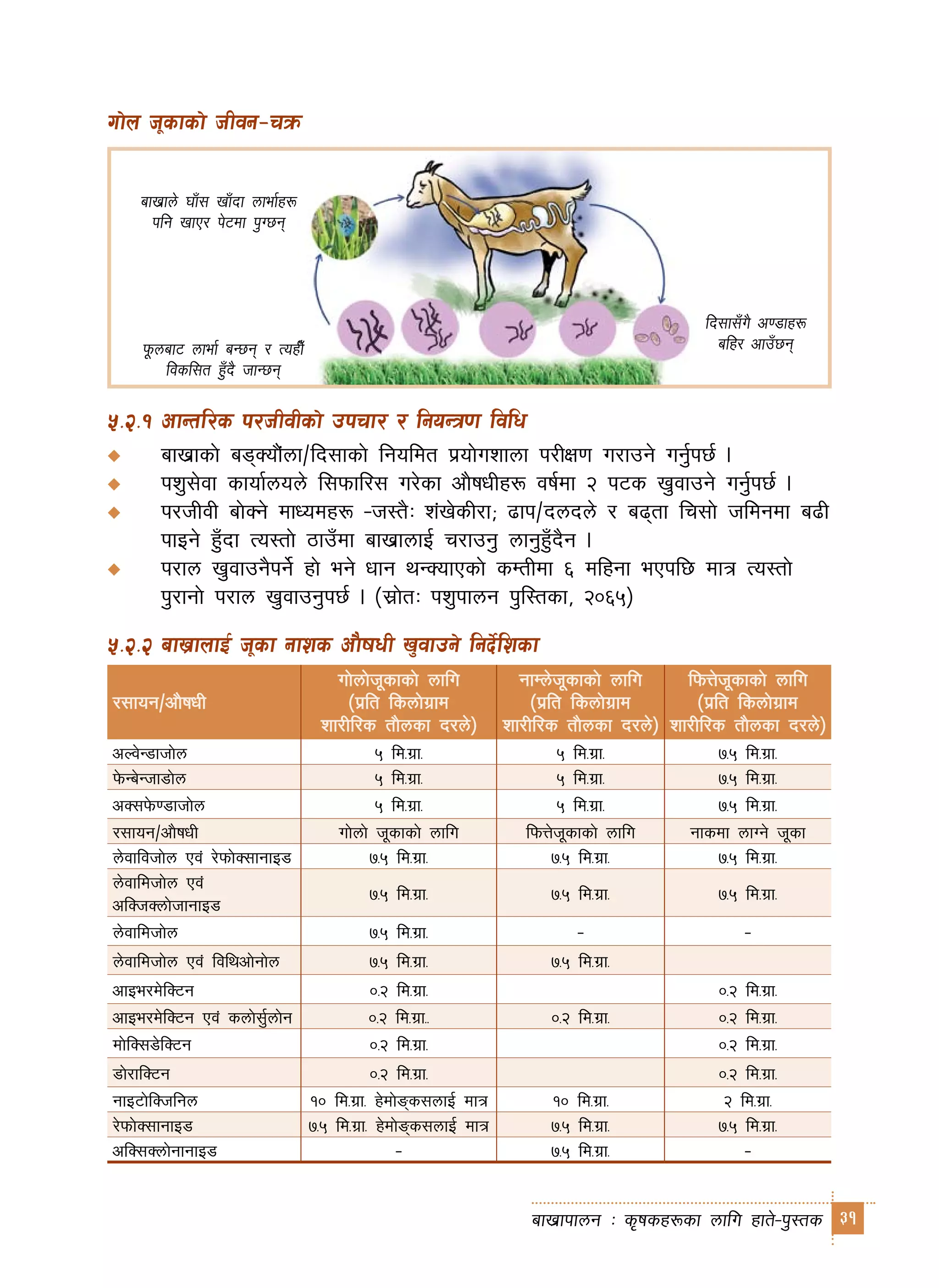 Goat Farming In Nepal | PDF