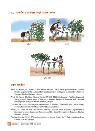 Goat Farming In Nepal | PDF