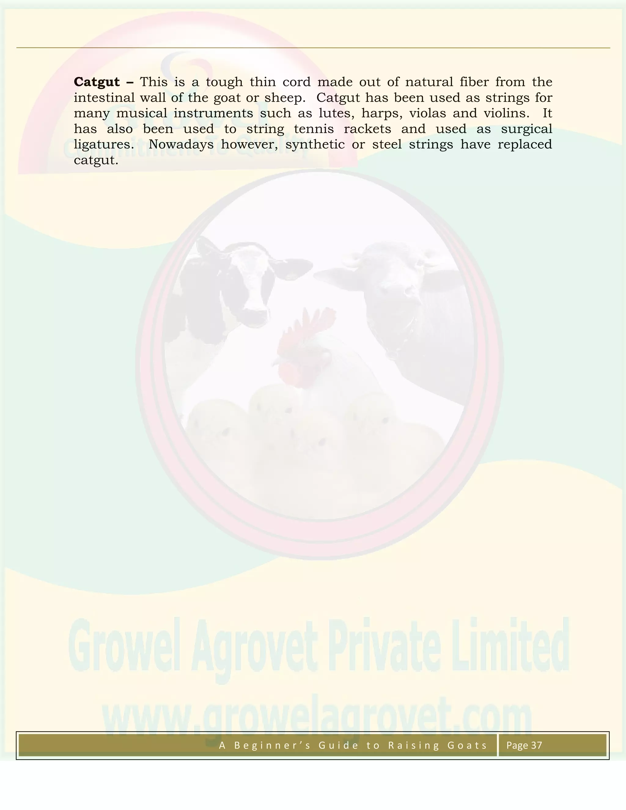 Goat Farming Quick Start Guide | PDF