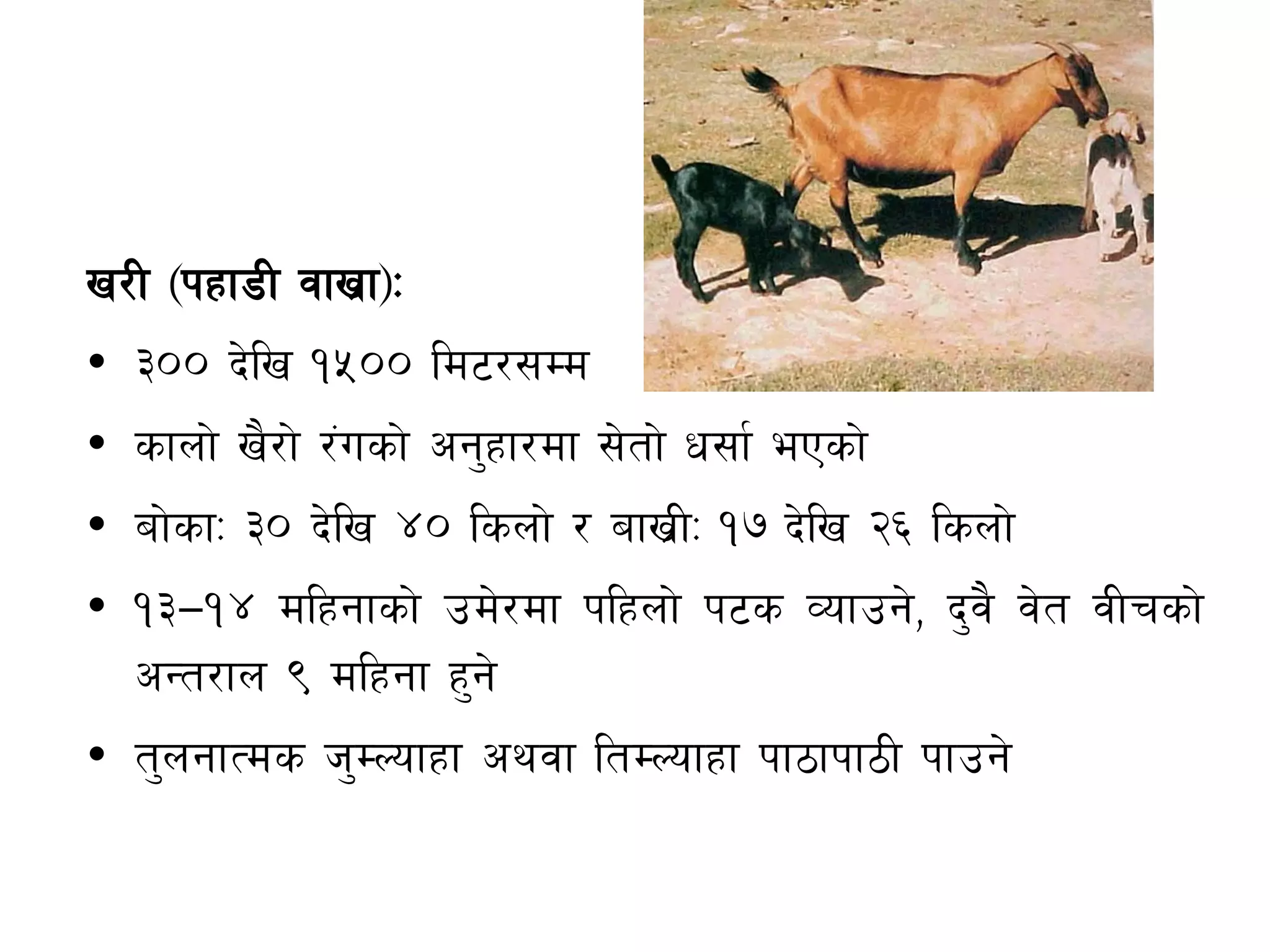 Goat Farming Training-Dr.Madan Bhandari1.pdf
