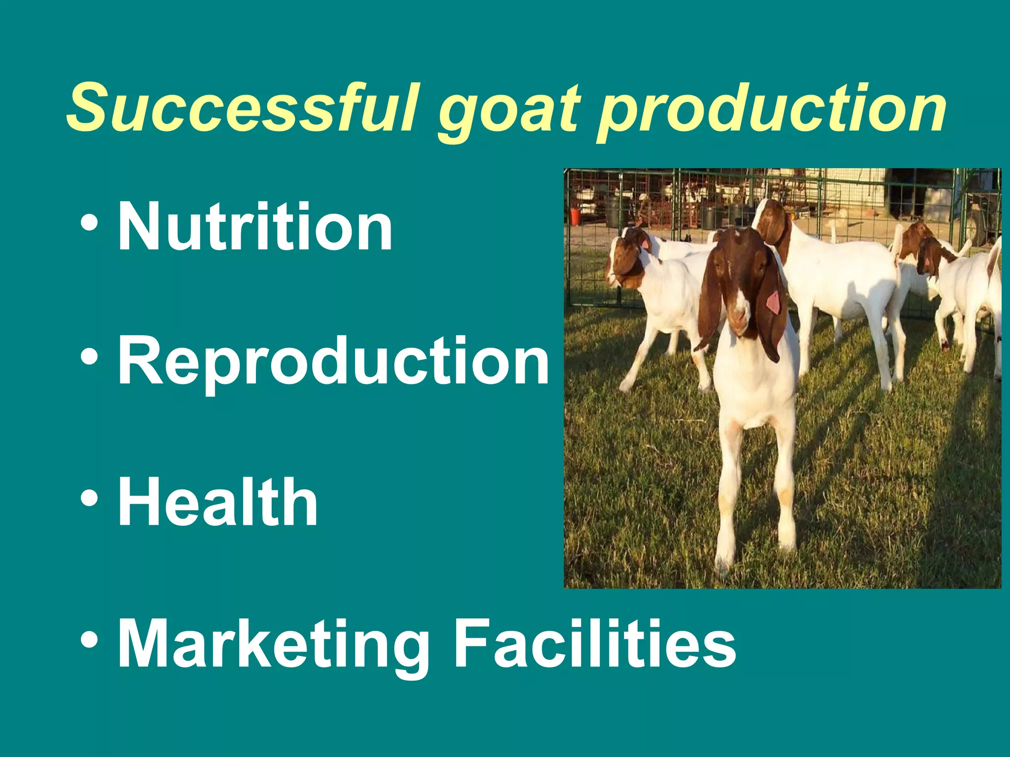 Goat feeding powerpoint pks | PPT