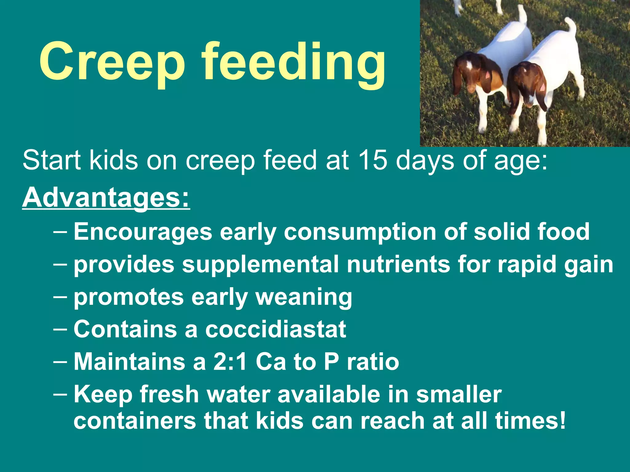 Goat feeding powerpoint pks | PPT