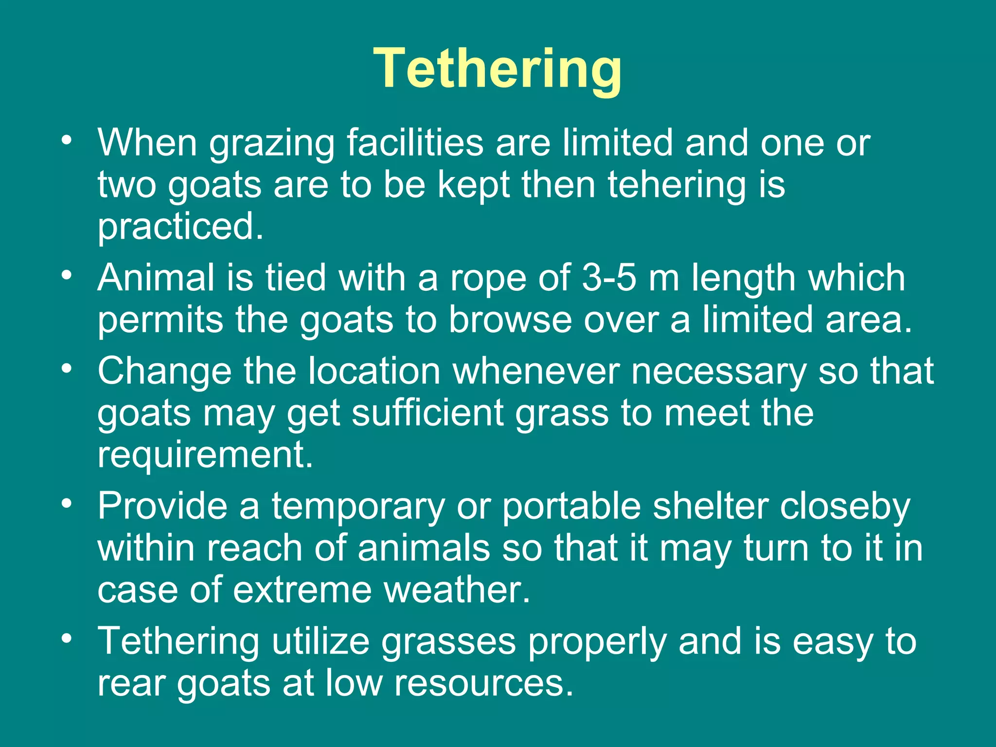 Goat feeding powerpoint pks | PPT