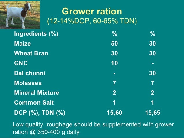 Goat feeding powerpoint pks