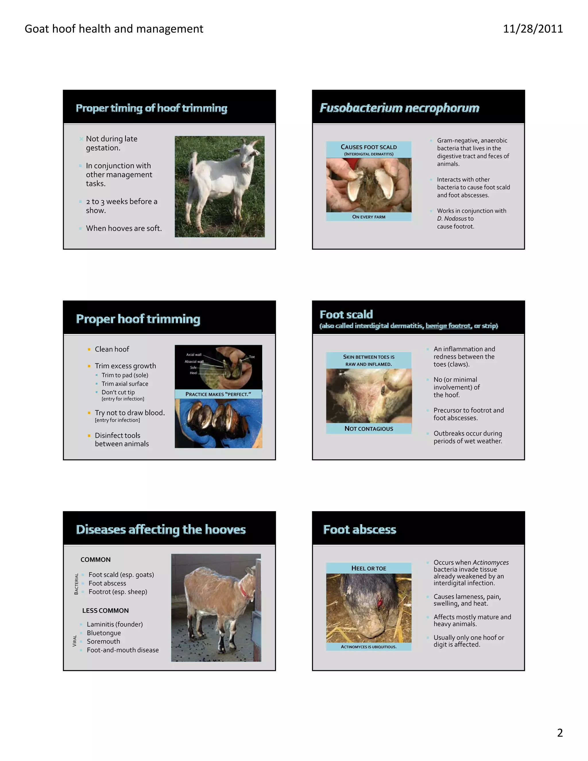 Goat hoof health | PDF