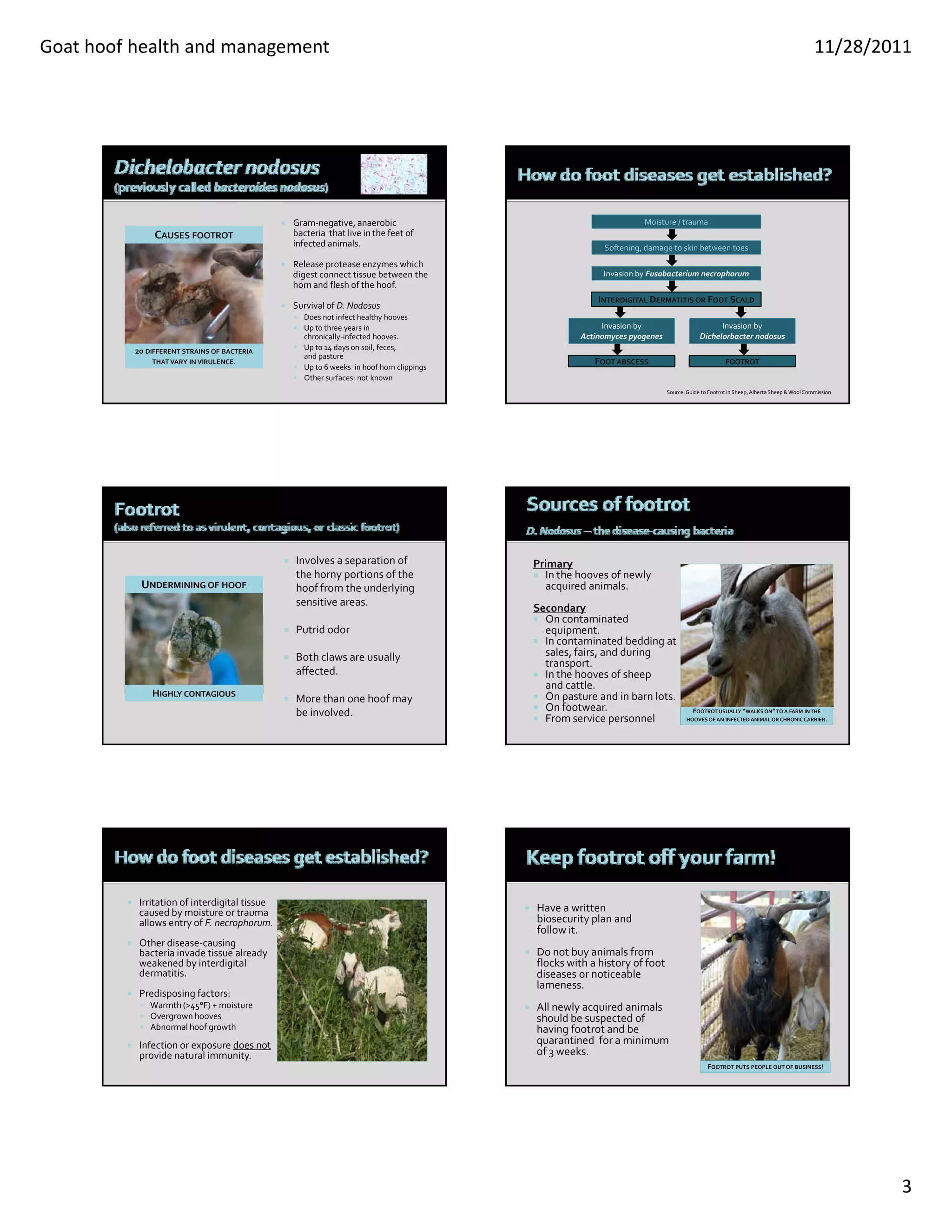 Goat hoof health | PDF