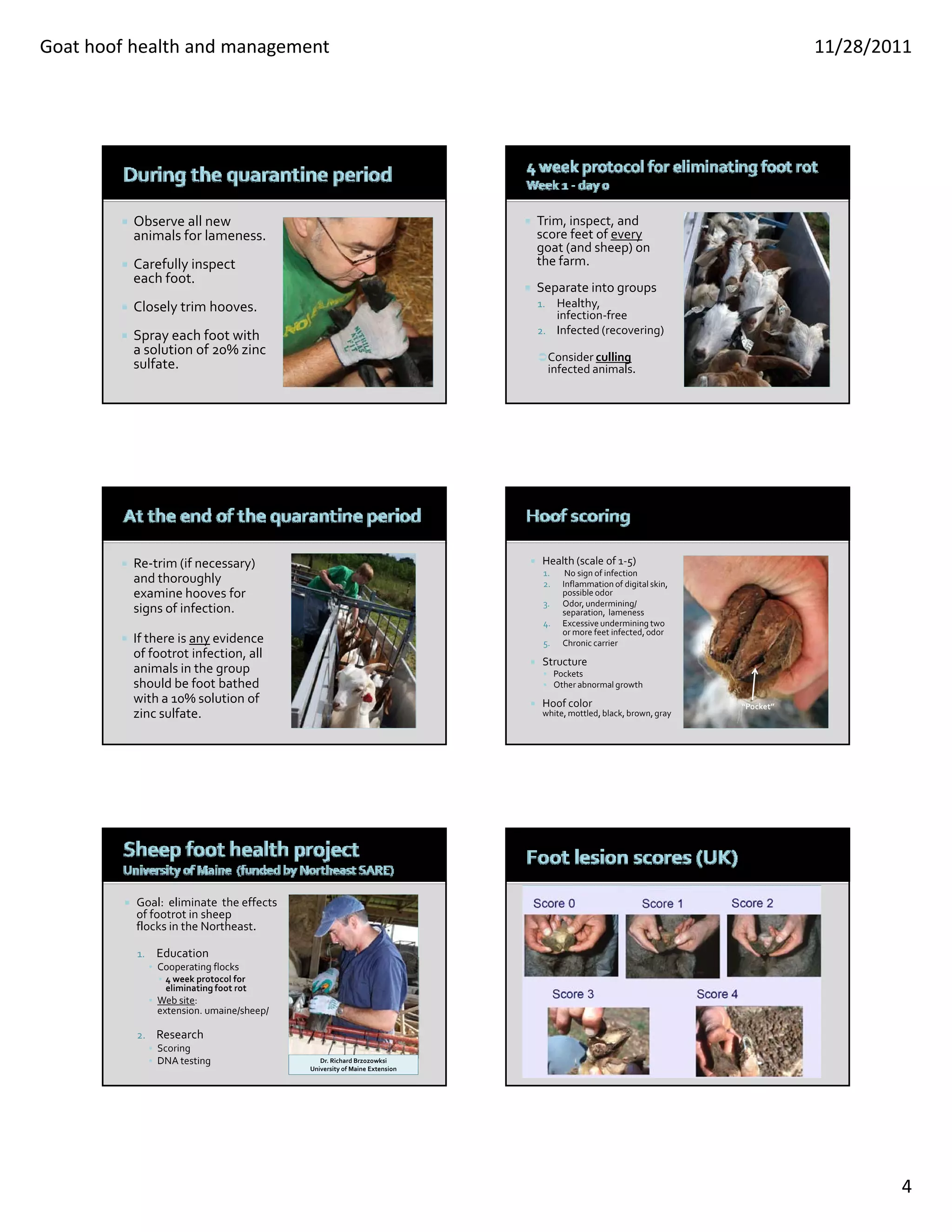 Goat hoof health | PDF