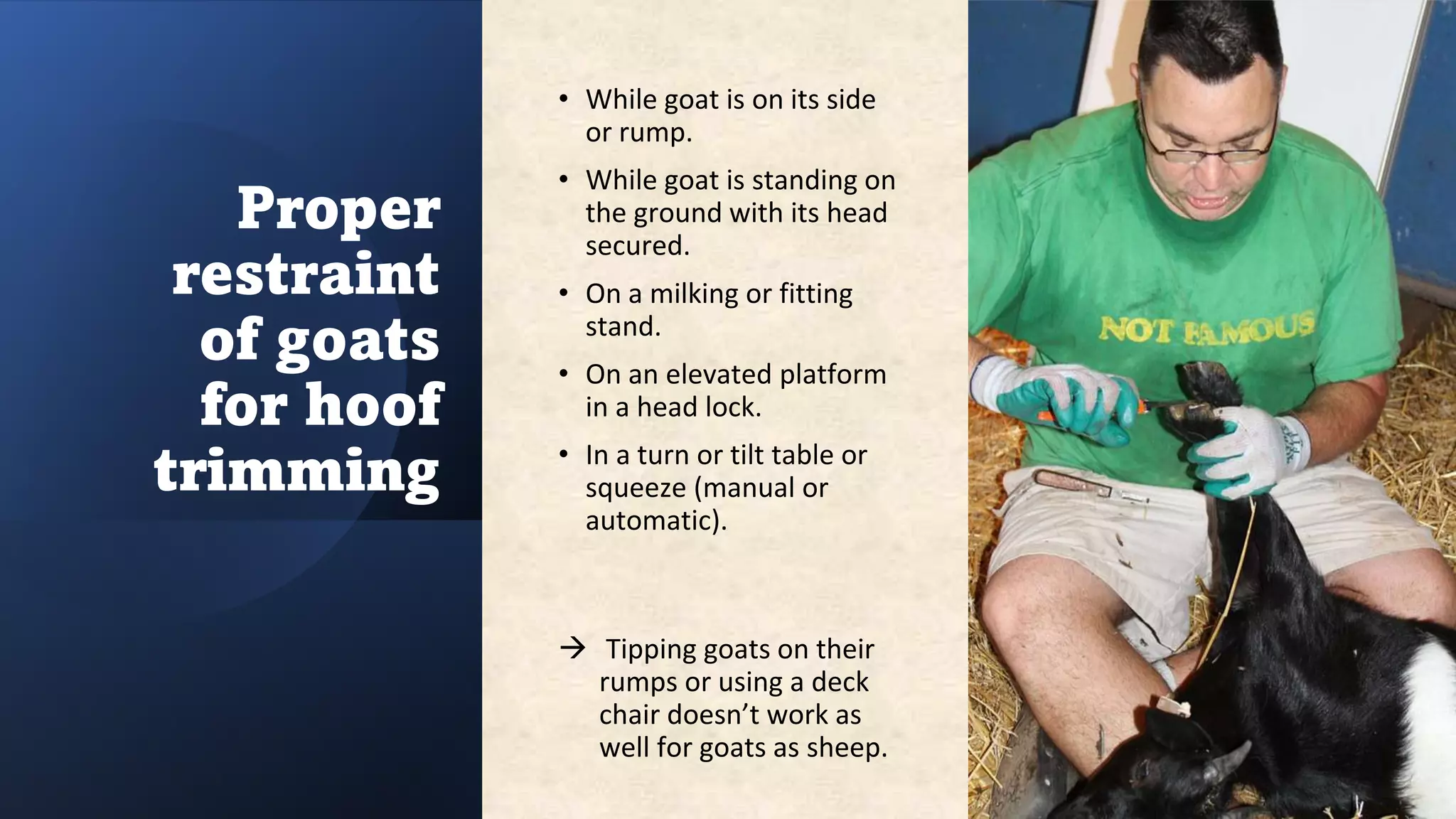 Goat Hoof Health | PPTX