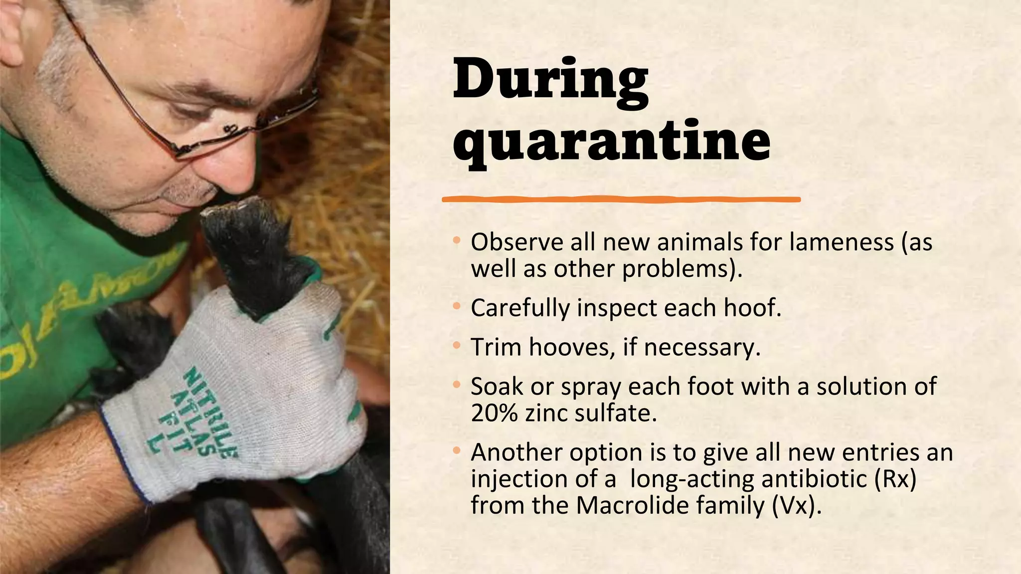 Goat Hoof Health | PPTX