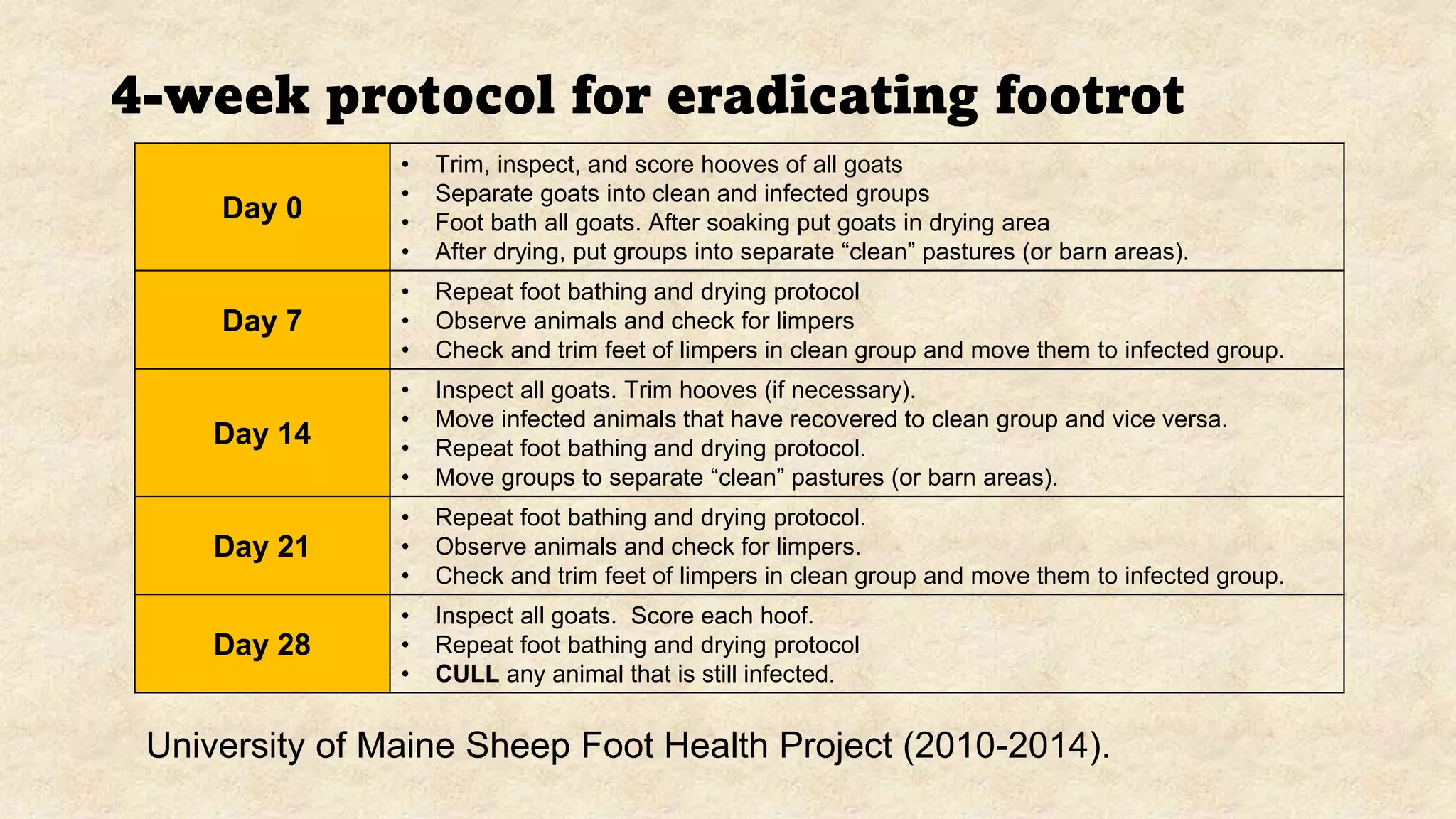 Goat Hoof Health | PPTX