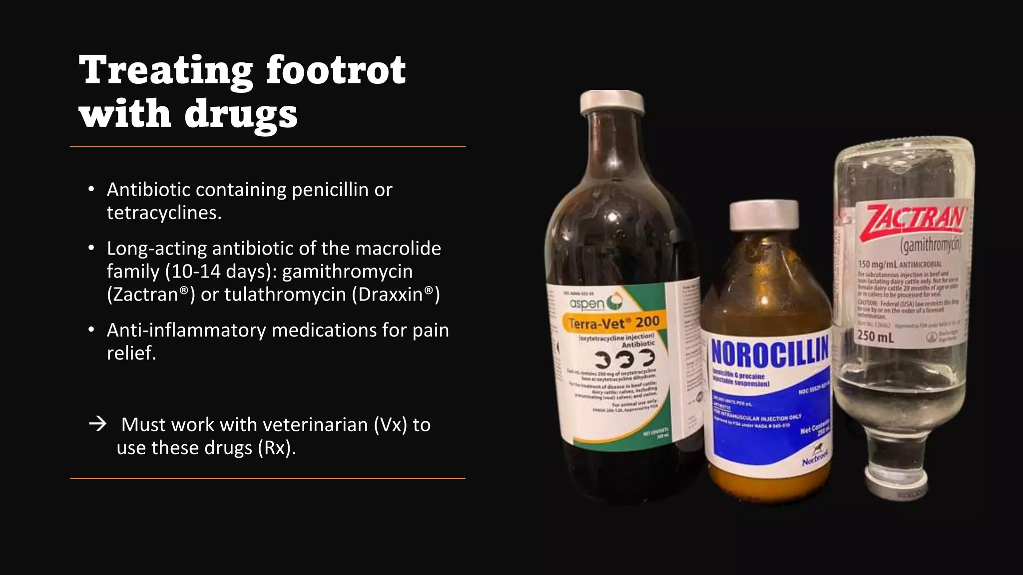 Goat Hoof Health | PPTX