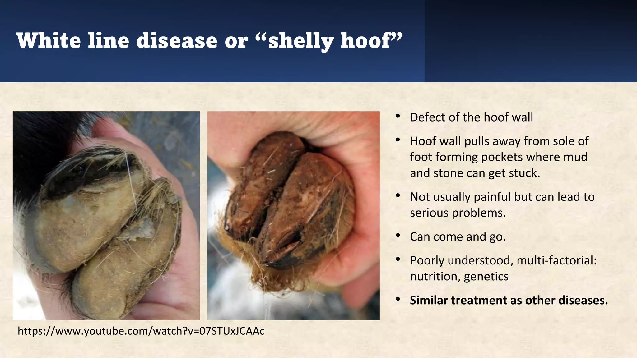 Goat Hoof Health | PPTX
