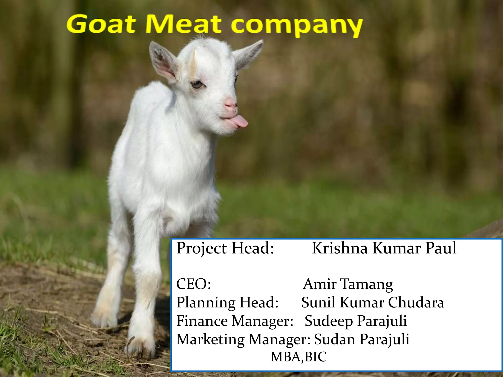 Goat meat company | PPT