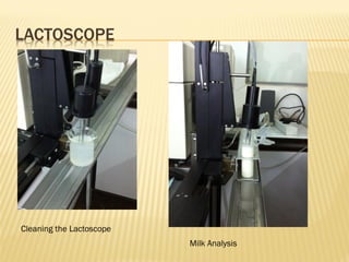 Goat milk safety and consumption in Abergelle, Ethiopia | PDF | Food ...