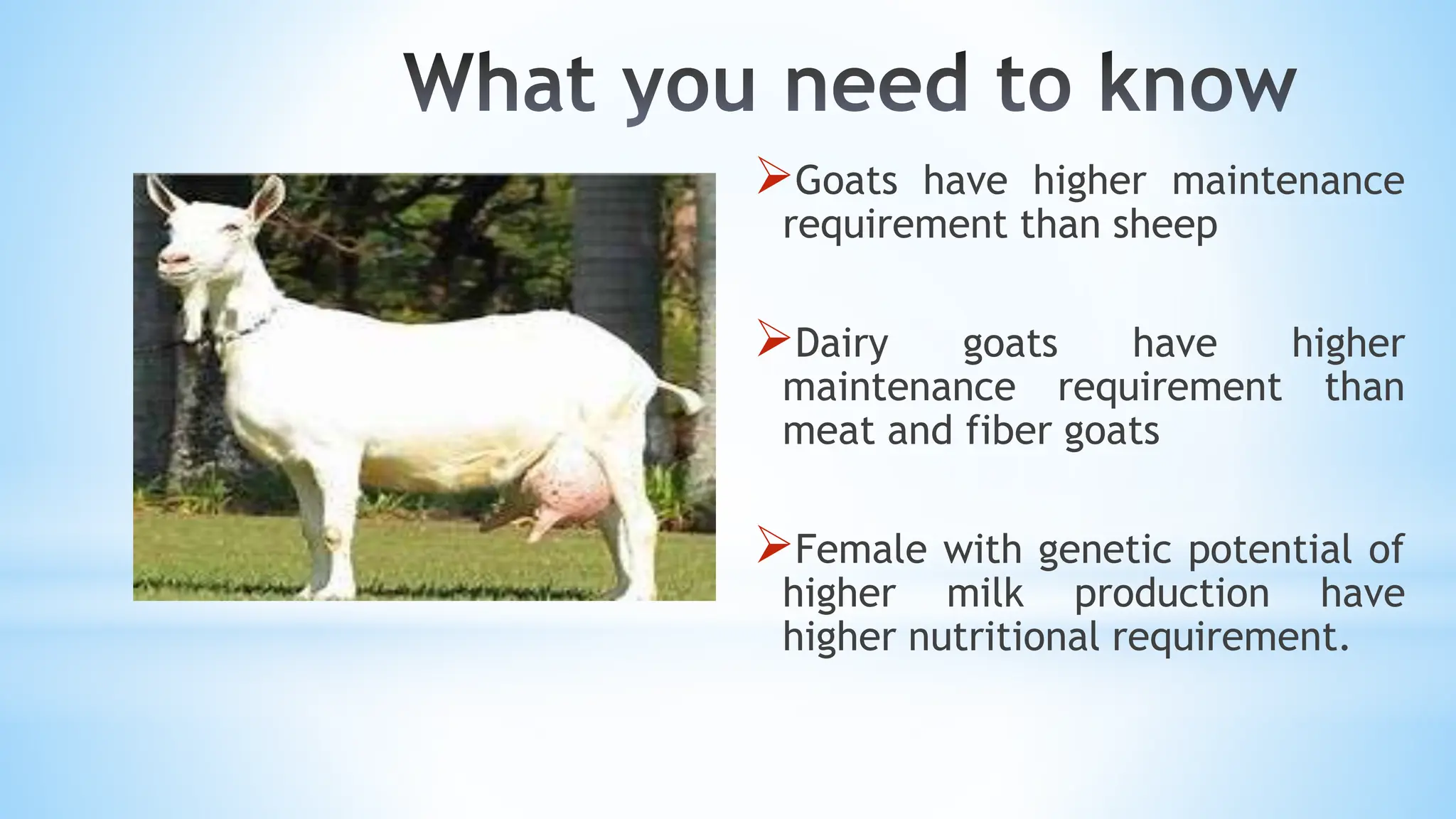 Goat Nutrition.pptx