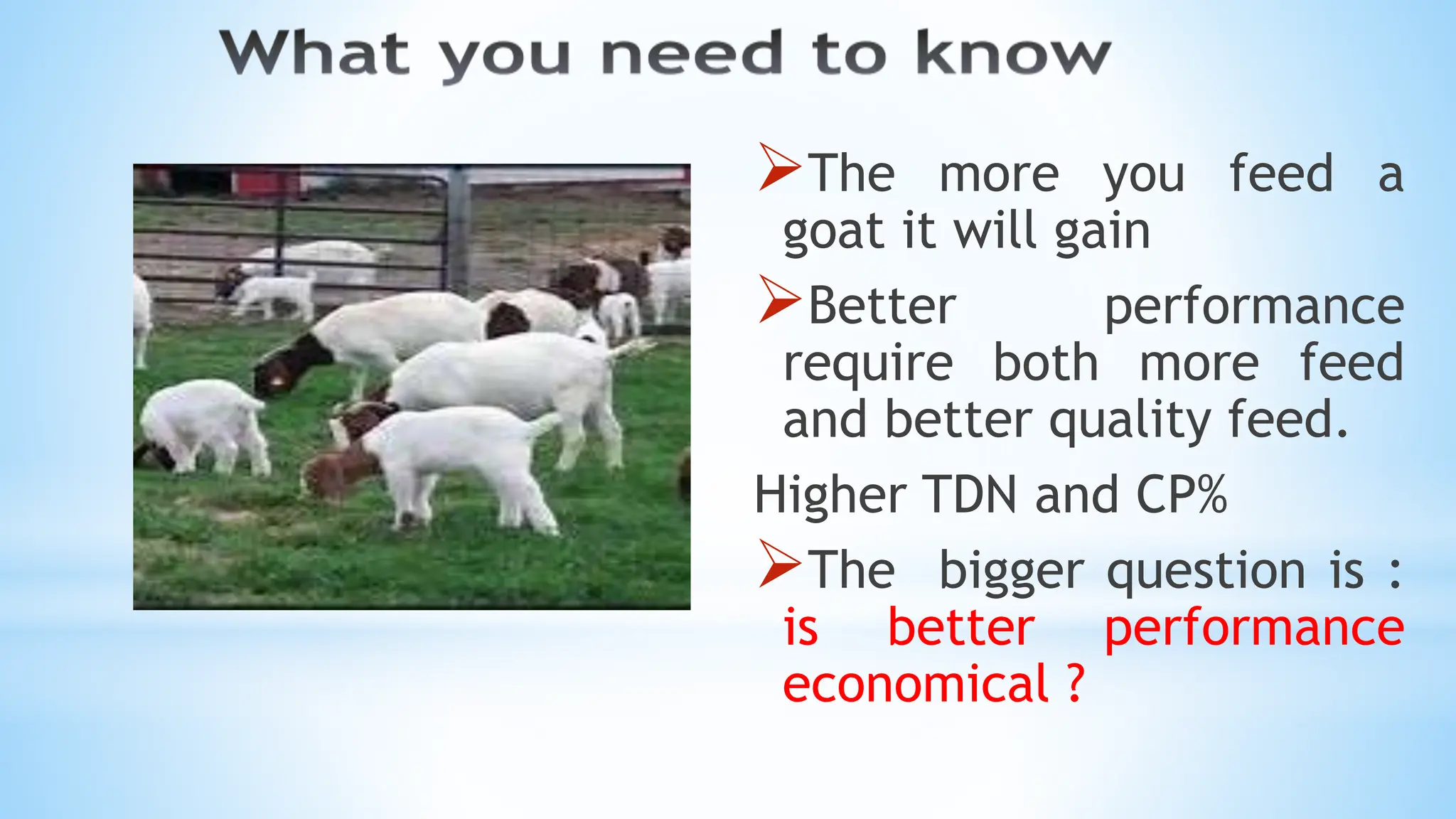 Goat Nutrition.pptx