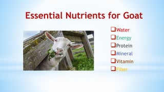 Goat Nutrition.pptx
