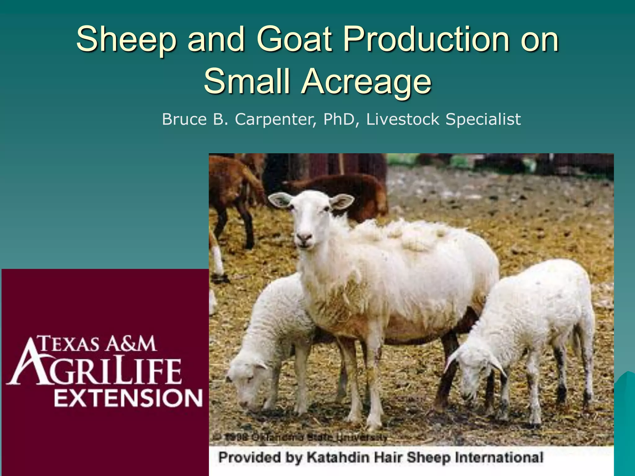 Sheep And Goat Production On Small Acreage By Bruce B Carpenter Phd Pdf