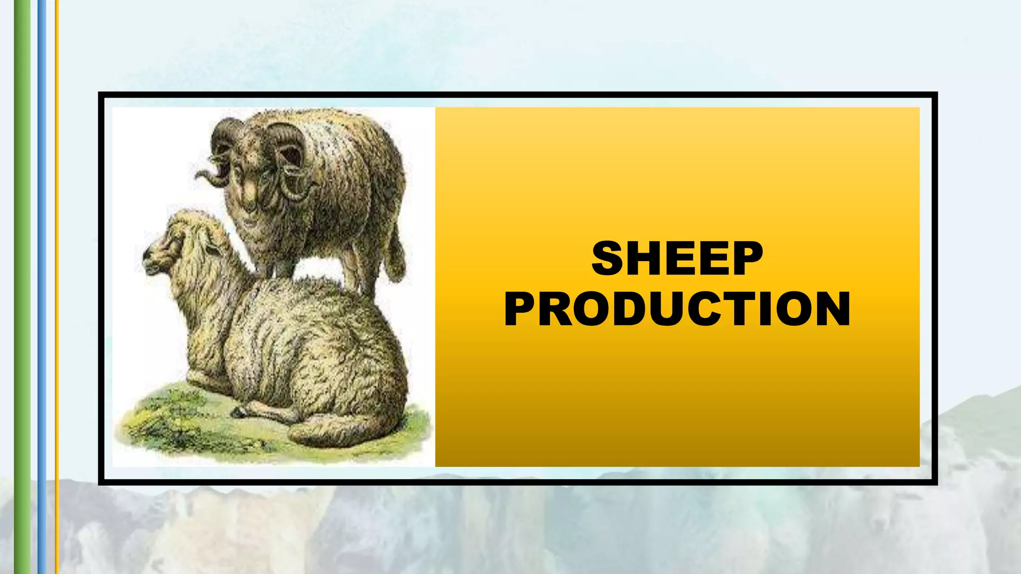 Goat or Sheep Production and Management.pptx