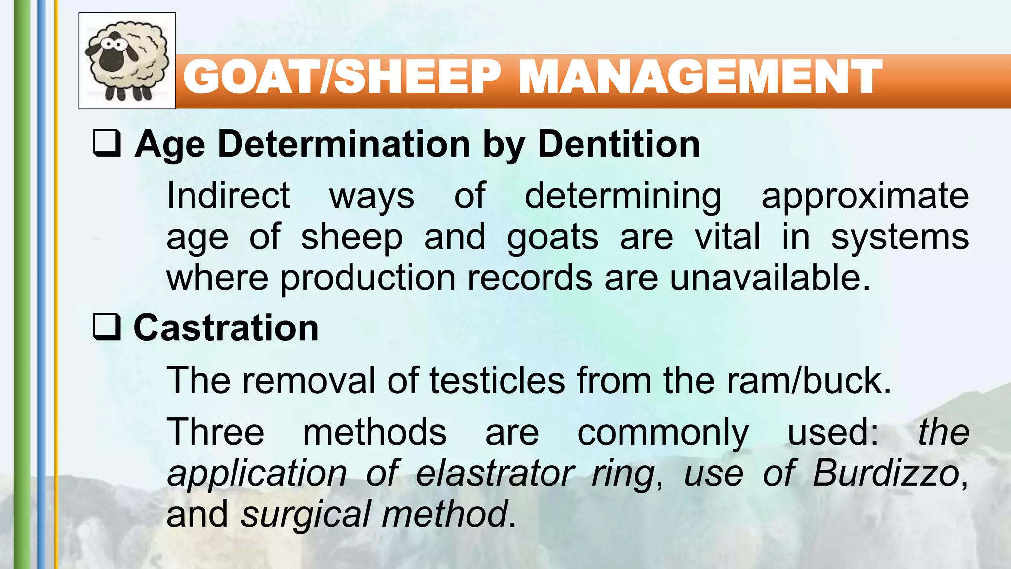 Goat or Sheep Production and Management.pptx