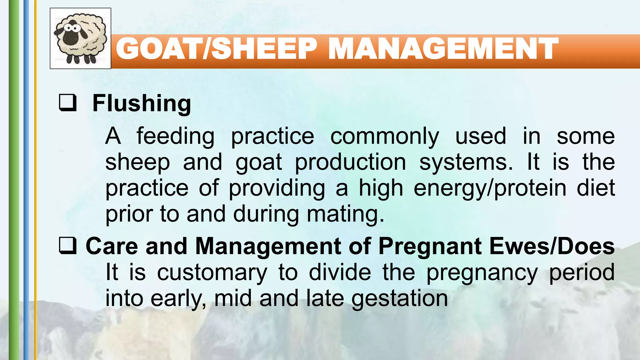 Goat or Sheep Production and Management.pptx