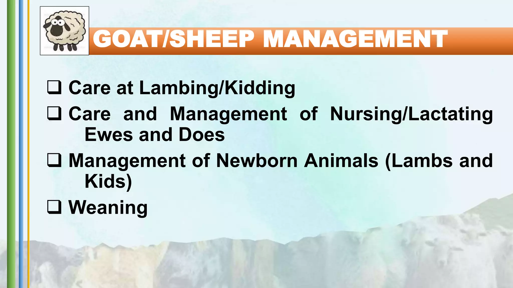 Goat or Sheep Production and Management.pptx