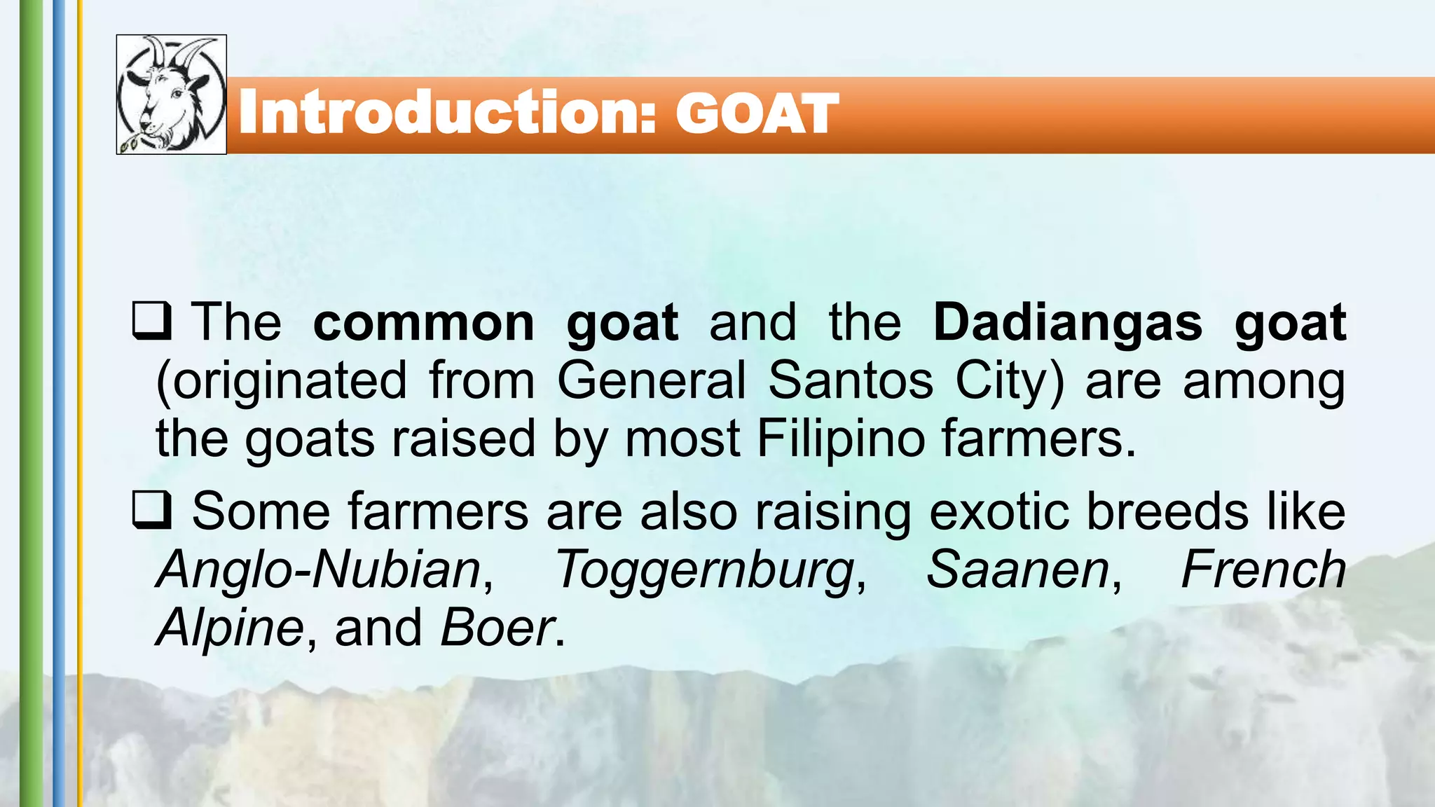 Goat or Sheep Production and Management.pptx