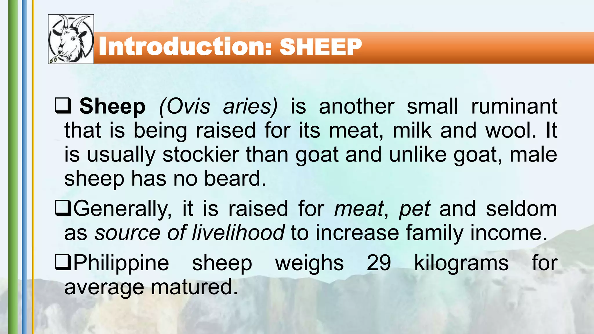 Goat or Sheep Production and Management.pptx