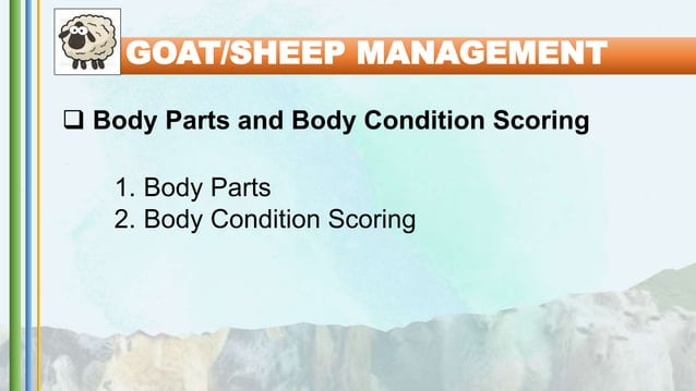 Goat or Sheep Production and Management.pptx