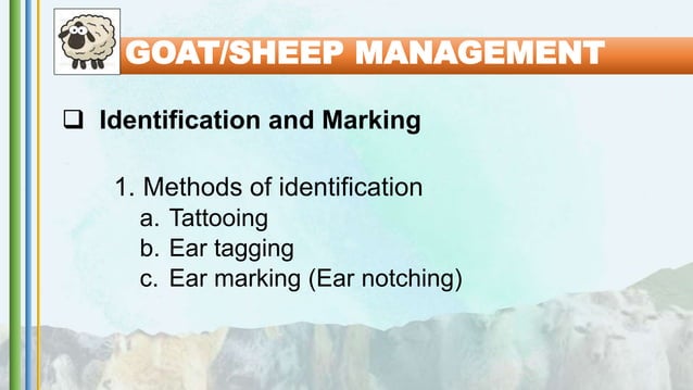 Goat or Sheep Production and Management.pptx